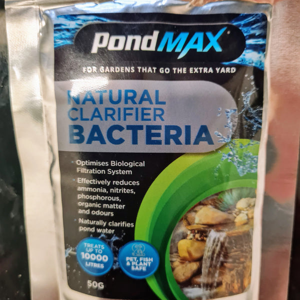 Pondmax Clarifier Bacteria - The Lily Farm
